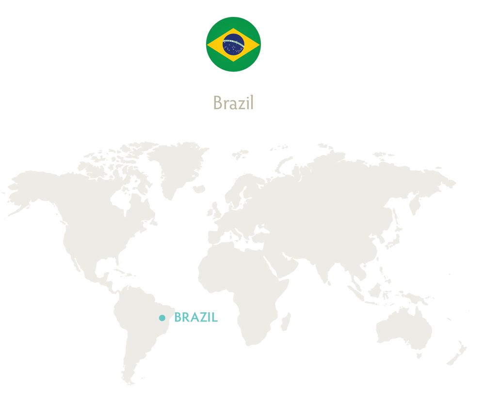 The Terrence Coffee Beans | Light Roast | Brazil