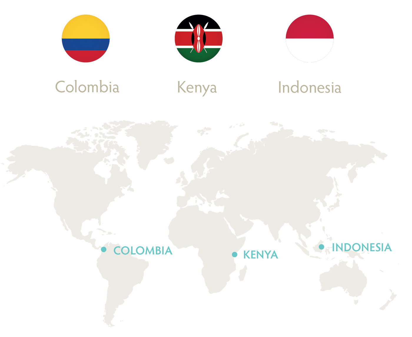The Excelso Coffee Beans | Medium Roast | Colombia
